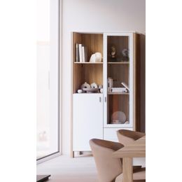 FORTE Vitrine RAPLA