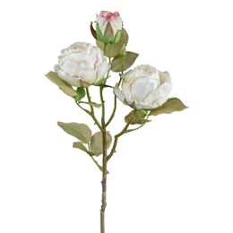 Gasper Deko-Blume 3er VINTAGE ROSE