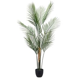 Gasper Kunstpflanze im Topf PH&Ouml;NIXPALME