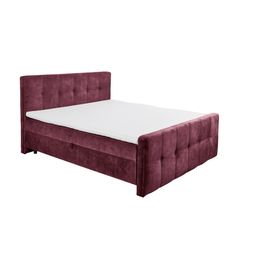 Boxbett PUEBLA