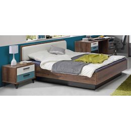 FORTE Futonbett RAVEN