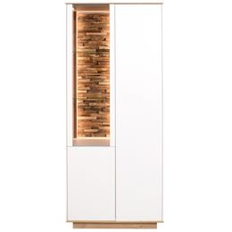 M&auml;usbacher Vitrine KINGSTON