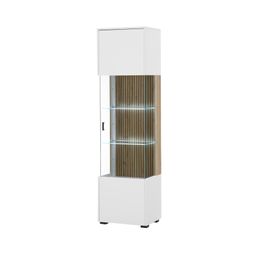 IMV Vitrine HUDSON