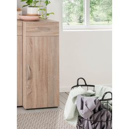 wimex Kommode MULTIRAUMKONZEPT