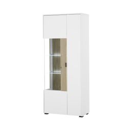 IMV Vitrine HUDSON