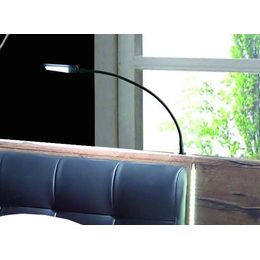 FORTE Leseleuchte IZLED23P02-WK03