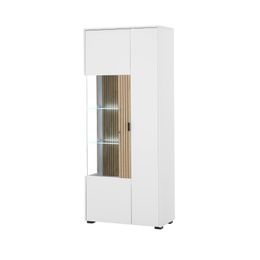 IMV Vitrine HUDSON