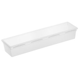 Rotho Ordnungssystem 30x8 cm BASIC