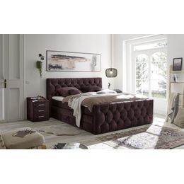 Boxspringbett CASHFIELD 8