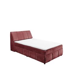 Boxbett VALENCIA 5