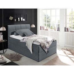 Boxbett GRATIANA 2