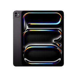 Apple iPad Pro (13") Wi-Fi 256GB space schwarz