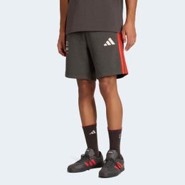 Herren Shorts "AUDI REVOLUT F1 TEAM DNA", grau, Gr. L, adidas Performance, Obermaterial: 55% Baumwolle, 36% Polyester, 9% Viskose, Hosen, mit
