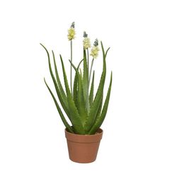 SONSTIGE Kunstpflanze AGAVE