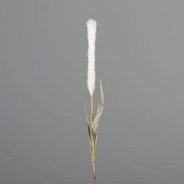 DPI Kunstblume Pampasgras