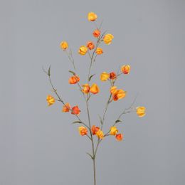 DPI Kunstblume Physalis-Zweig