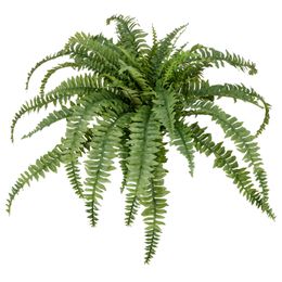 Kunstpflanze Creativ green, H:80cm &Oslash;:100cm, gr&uuml;n, Kunststoff, Kunstpflanzen, "Bostonfarn ohne Topf", mit zahlreichen Farnwedeln