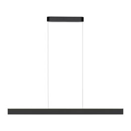 Paul Neuhaus Pendelleuchte Q-STRETTO