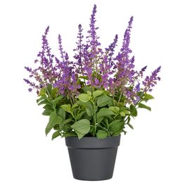 Gasper Kunstpflanze Salvia superba XL