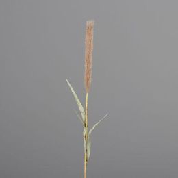 DPI Kunstblume Pampasgras