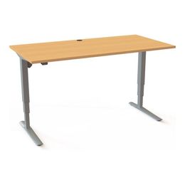 STIER Elektrisch H&ouml;henverstellbarer Schreibtisch 501-43 160 x 80cm Buche 65-125cm (907767)