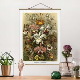 Bilderwelten Stoffbild - Hochformat Vintage Lehrtafel Orchidee