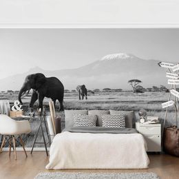 Bilderwelten Fototapete Natur modern Wandtapete einzigartig - No.287 Elefanten vor dem Kilimanjaro in Kenya II - africa Wohnzimmer Schlafzimmer