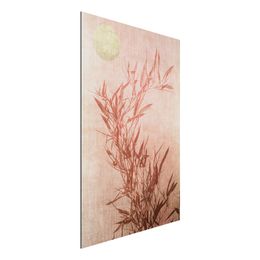 Bilderwelten Alu Dibond Outdoor Bild Natur rosa modern wetterfest - Goldene Sonne mit Rosa Bambus - Bambus Wohnzimmer Schlafzimmer