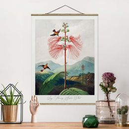Bilderwelten Stoffbild Tiere gr&uuml;n Vintage Vintage-Charakter - Botanik Vintage Illustration Bl&uuml;te und Kolibri - Pflanzen Wohnzimmer Schlafzimmer