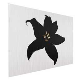 Bilderwelten Alu Dibond Outdoor Bild Blumen schwarz weiss Tropisch wetterfest - Grafische Pflanzenwelt - Orchidee Schwarz und Gold - Deko Wohnzimmer Schlafzimmer