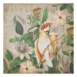 Bilderwelten Alu-Dibond Outdoor Bild Colonial Style Collage - Rosa Kakadu