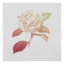 Bilderwelten Alu-Dibond Outdoor Bild Modern Vintage Botanik Rose Rot Gr&uuml;n