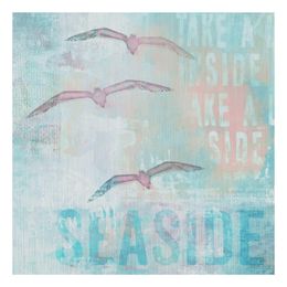 Bilderwelten Alu Dibond Outdoor Bild Tiere t&uuml;rkis Shabby Aquarell - Shabby Chic Collage - M&ouml;wen - V&ouml;gel Wohnzimmer Schlafzimmer