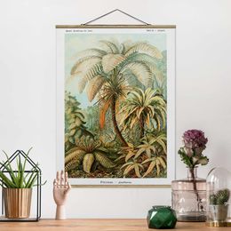 Bilderwelten Stoffbild mit Holzleisten - Botanik - Botanik Tropisch Vintage Illustration Laubfarne - Wandbehang Rollbild, Wandbild Stoff S-XXL Wohnzimmer