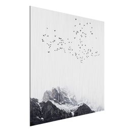 Bilderwelten Alu Dibond Outdoor Bild Natur schwarz weiss Motiv wetterfest - Vogelschwarm vor Bergen Schwarz Wei&szlig; - Berg Wohnzimmer Schlafzimmer