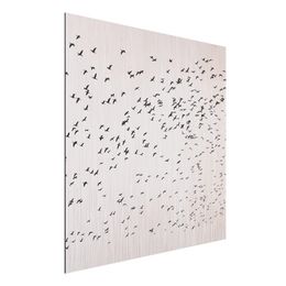 Bilderwelten Alu Dibond Outdoor Bild Natur rosa modern Aquarell - Vogelschwarm im Sonnenuntergang - Sonnenuntergang Wohnzimmer Schlafzimmer