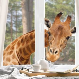 Bilderwelten Fensteraufkleber - Fenstersticker No.21 Neugierige Giraffe - Fenstertattoo Kinderzimmer Glasdekor Motiv selbstklebend