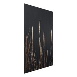 Bilderwelten Alu Dibond Outdoor Bild Blumen schwarz Landhaus wetterfest - Grafische Pflanzenwelt - Goldenes Schilf - Gr&auml;ser Wohnzimmer Schlafzimmer
