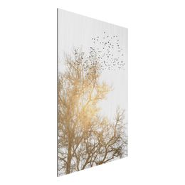 Bilderwelten Alu Dibond Outdoor Bild Wald gold modern wetterfest - Vogelschwarm vor goldenem Baum - B&auml;ume Wohnzimmer Schlafzimmer