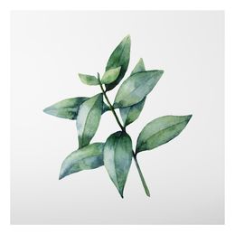 Bilderwelten Alu-Dibond Outdoor Bild Aquarell Eucalyptus III
