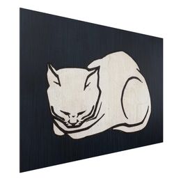 Bilderwelten Alu Dibond Outdoor Bild Tiere schwarz weiss Illustration wetterfest - Schlafende Katze Illustration - Katze Wohnzimmer Schlafzimmer
