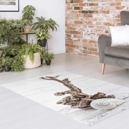 Bilderwelten Vinylteppich Motiv beige Strand Holzoptik - Wei&szlig;es Schneckenhaus und Wurzelholz - Landschaft K&uuml;che Badezimmer Flur
