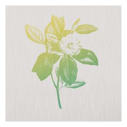 Bilderwelten Alu-Dibond Outdoor Bild Modern Vintage Botanik Kirschbl&uuml;te Gr&uuml;n Gelb