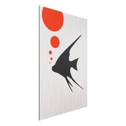 Bilderwelten Alu Dibond Outdoor Bild Tiere schwarz weiss Illustration wetterfest - Fisch mit Roten Blasen - Fische Wohnzimmer Schlafzimmer