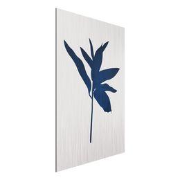 Bilderwelten Alu Dibond Outdoor Bild Blumen blau Tropisch wetterfest - Grafische Pflanzenwelt - Blau - Deko Wohnzimmer Schlafzimmer
