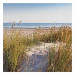 Bilderwelten Alu-Dibond Outdoor Bild Strandd&uuml;ne am Meer