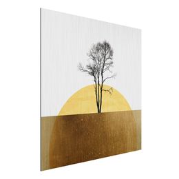 Bilderwelten Alu-Dibond Outdoor Bild Goldene Sonne mit Baum