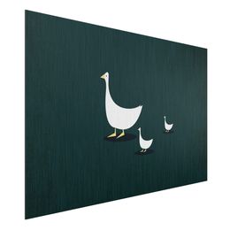 Alu Dibond Outdoor Bild - Familie Gans auf Wanderschaft - Tiere petrol Illustration wetterfest V&ouml;gel Kinderzimmer Baby M&auml;dchen Jungen