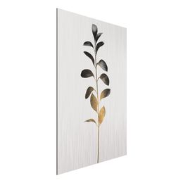 Bilderwelten Alu Dibond Outdoor Bild Blumen schwarz weiss Tropisch wetterfest - Grafische Pflanzenwelt - Gold und Grau - Deko Wohnzimmer Schlafzimmer