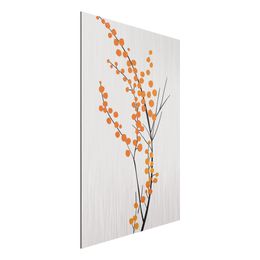 Bilderwelten Alu Dibond Outdoor Bild Blumen orange Tropisch wetterfest - Grafische Pflanzenwelt - Beeren Orange - Deko Wohnzimmer Schlafzimmer